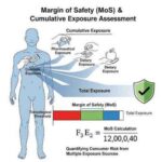 Regulatory Toxicology & Permitted Daily Exposure (PDE) | Vivisciences