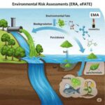 Regulatory Toxicology & Permitted Daily Exposure (PDE) | Vivisciences